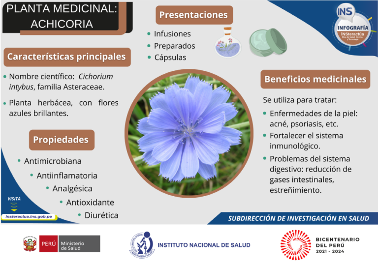 Achicoria Qué es Propiedades, para qué sirve y contraindicaciones - 2026