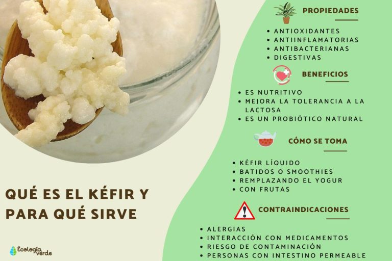 Kéfir, qué es y cuáles son sus beneficios y propiedades - 2025