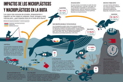 Microplásticos, qué son, problemas y soluciones - 2025