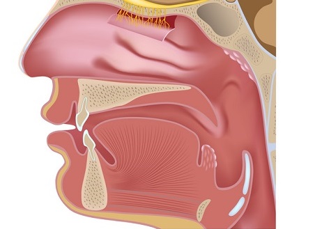 ¿Qué son las flemas y por qué se producen? - 2025